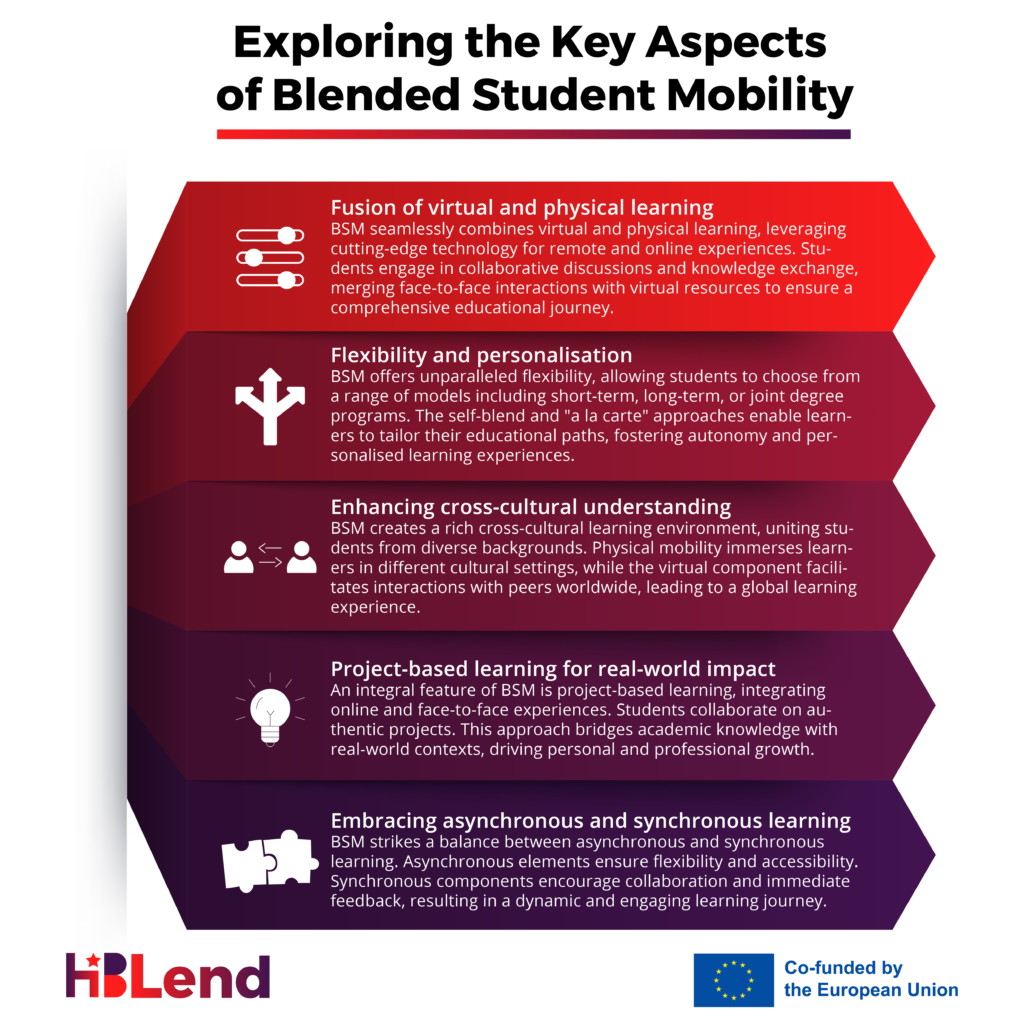Exploring the Key Aspects of Blended Student Mobility - HIBLend